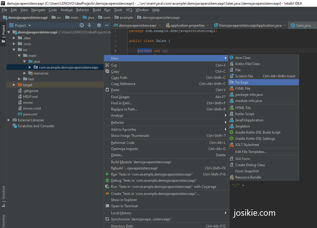 Tutorial Spring Boot JPA Dengan Satu Entities - Josi Kie
